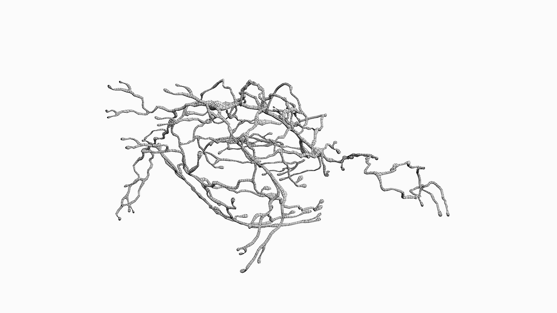 Frog Body Skeleton and Lymphatic System Static model - TurboSquid 1907968