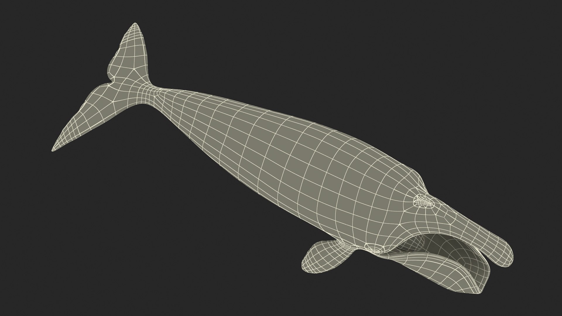 Arctic Bowhead Whale Fur 3D - TurboSquid 2113234