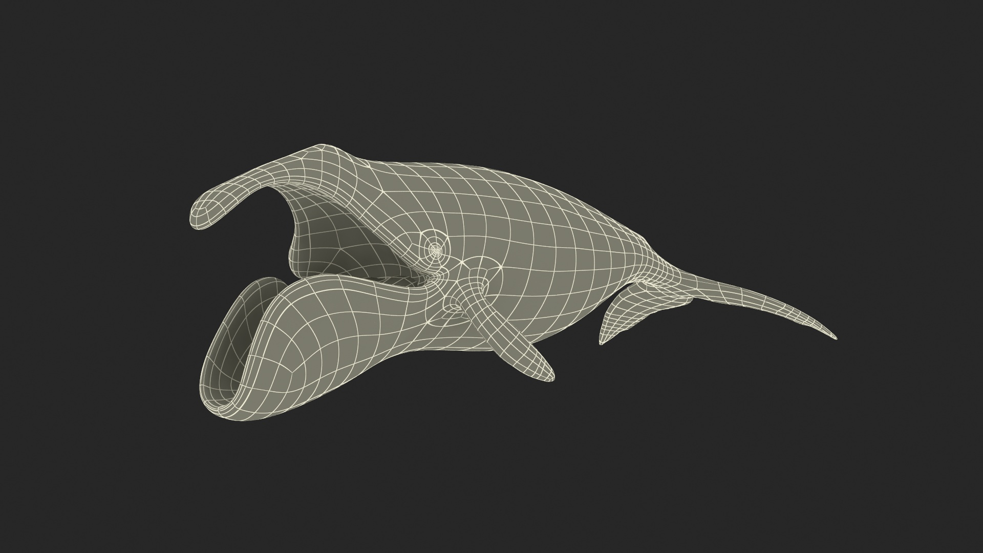 Arctic Bowhead Whale Fur 3D - TurboSquid 2113234