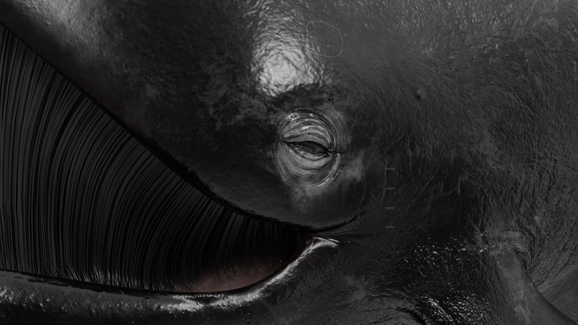 Arctic Bowhead Whale Fur 3D - TurboSquid 2113234