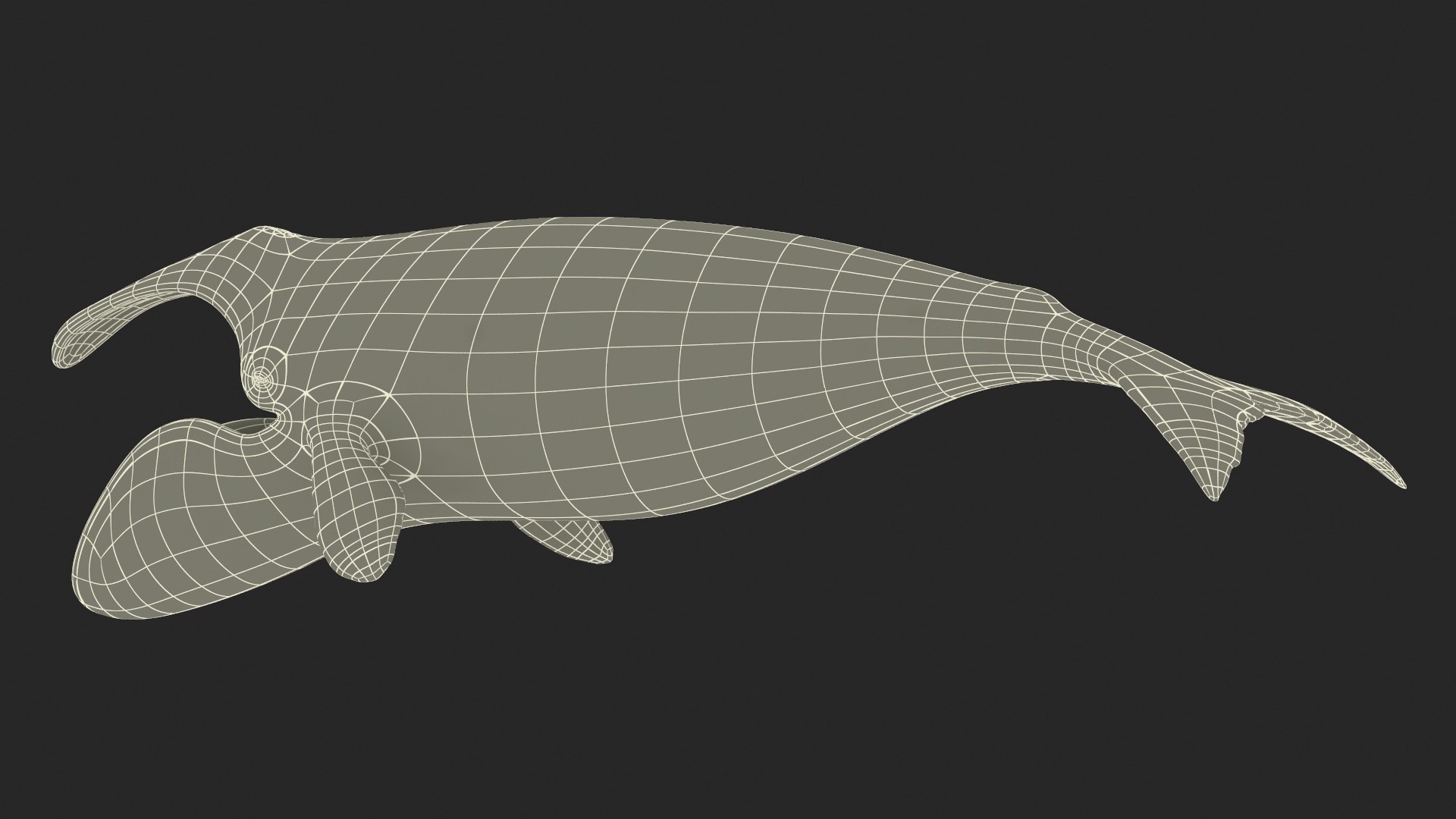 Arctic Bowhead Whale Fur 3D - TurboSquid 2113234