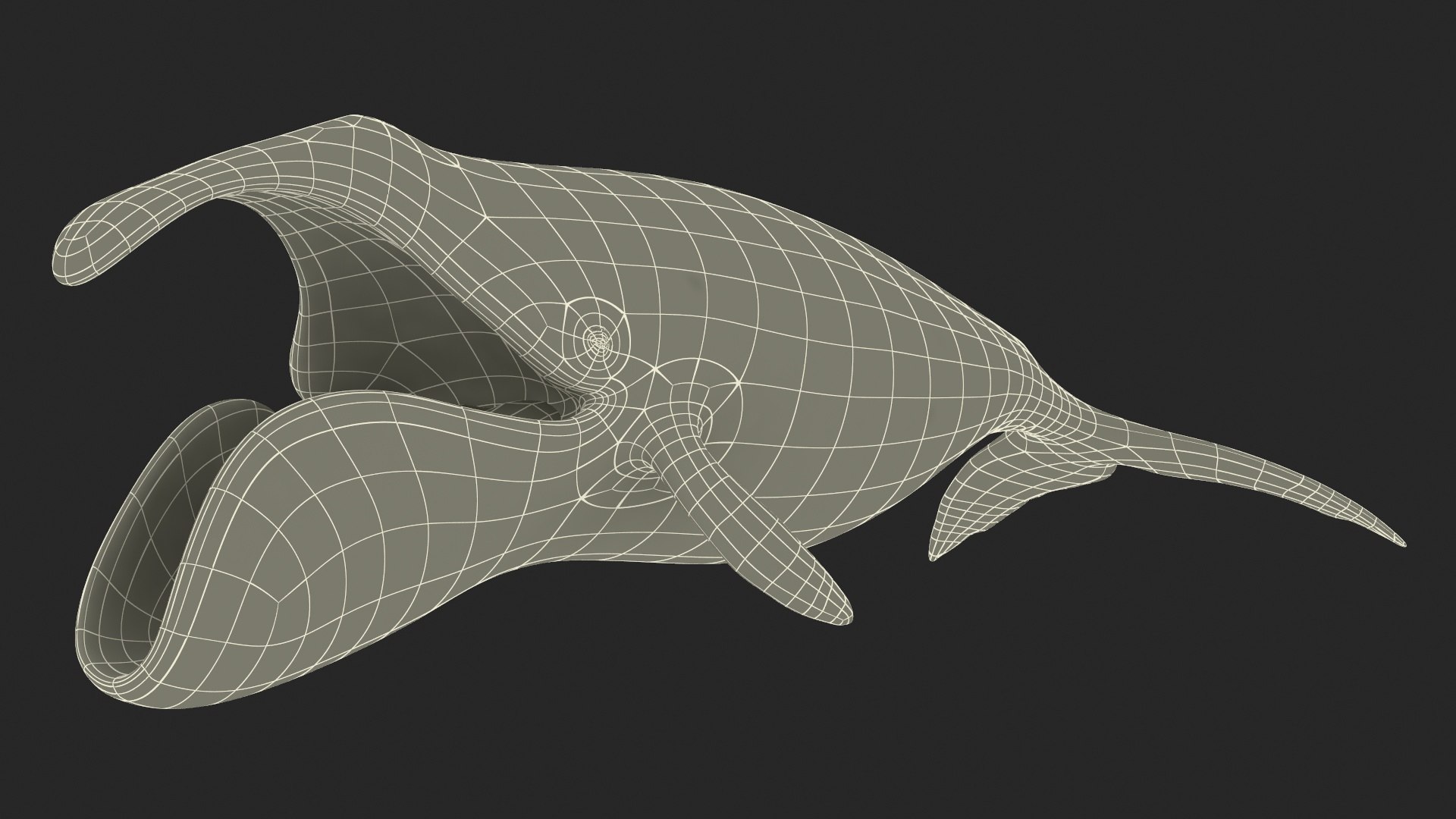 Arctic Bowhead Whale Fur 3D - TurboSquid 2113234