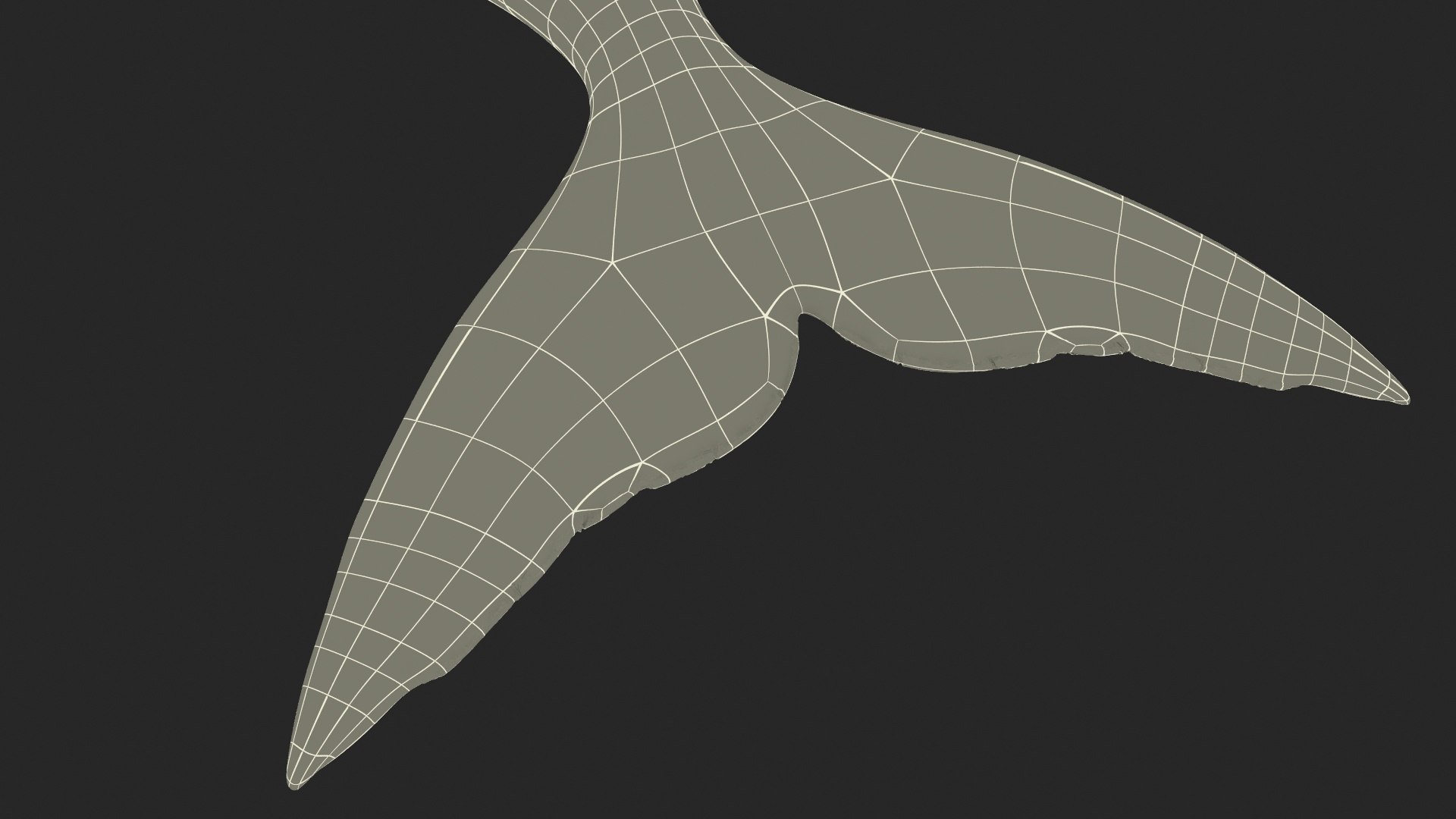 Arctic Bowhead Whale Fur 3D - TurboSquid 2113234