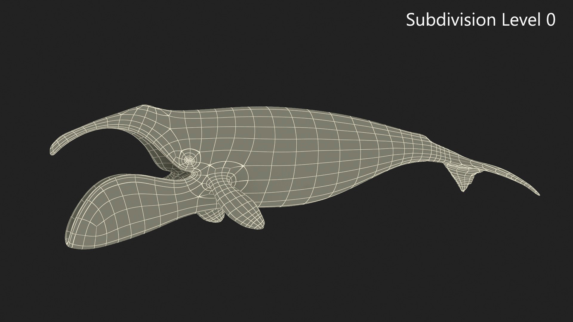 Arctic Bowhead Whale Fur 3D - TurboSquid 2113234