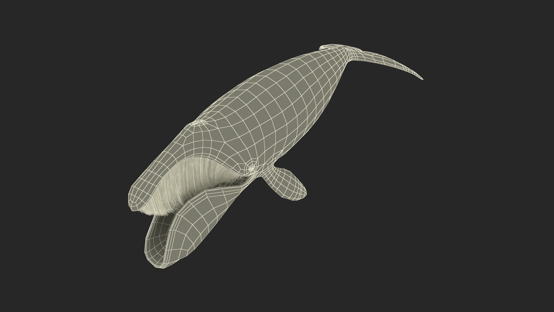 Arctic Bowhead Whale Fur 3D - TurboSquid 2113234