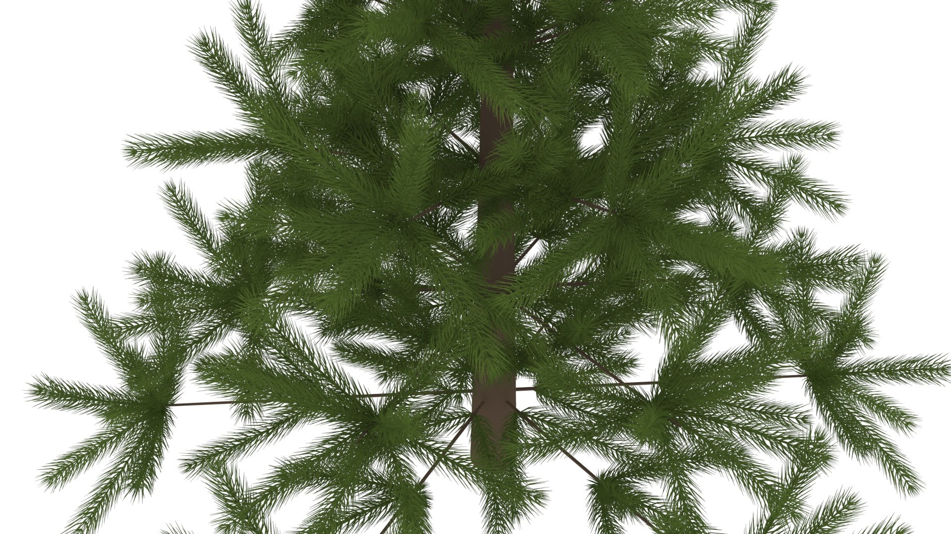 Pine Tree 3D Model - TurboSquid 1822895