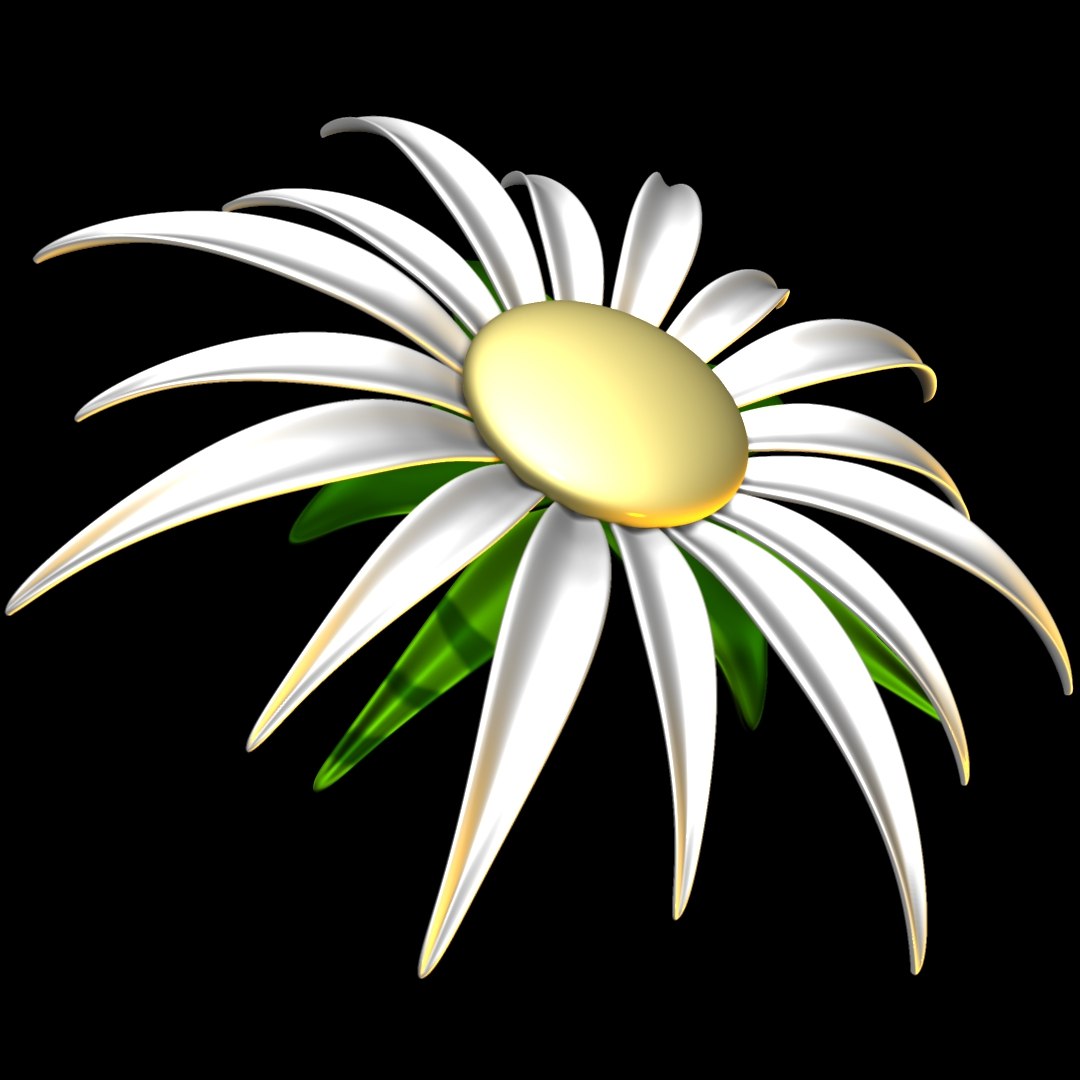 Daisy Flower Flora 3D Model - TurboSquid 1580465