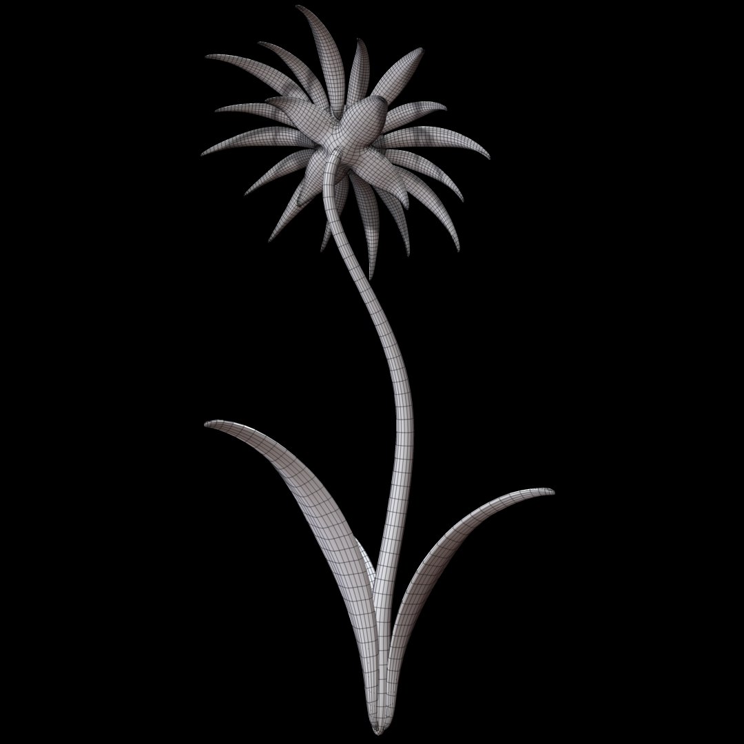 Daisy Flower Flora 3D Model - TurboSquid 1580465