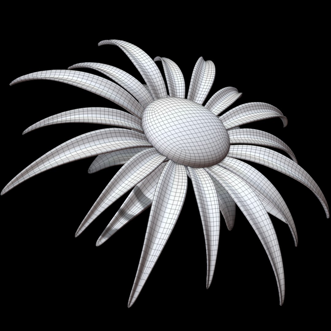 Daisy Flower Flora 3D Model - TurboSquid 1580465