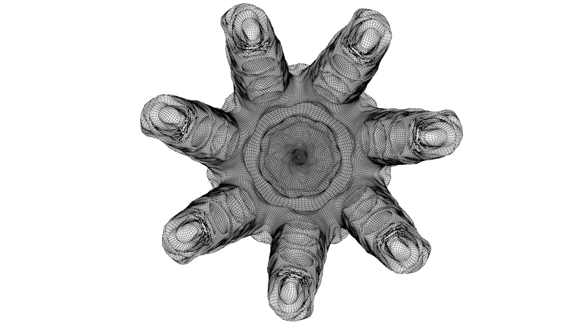 3D Sea Cephalopod - TurboSquid 1714000