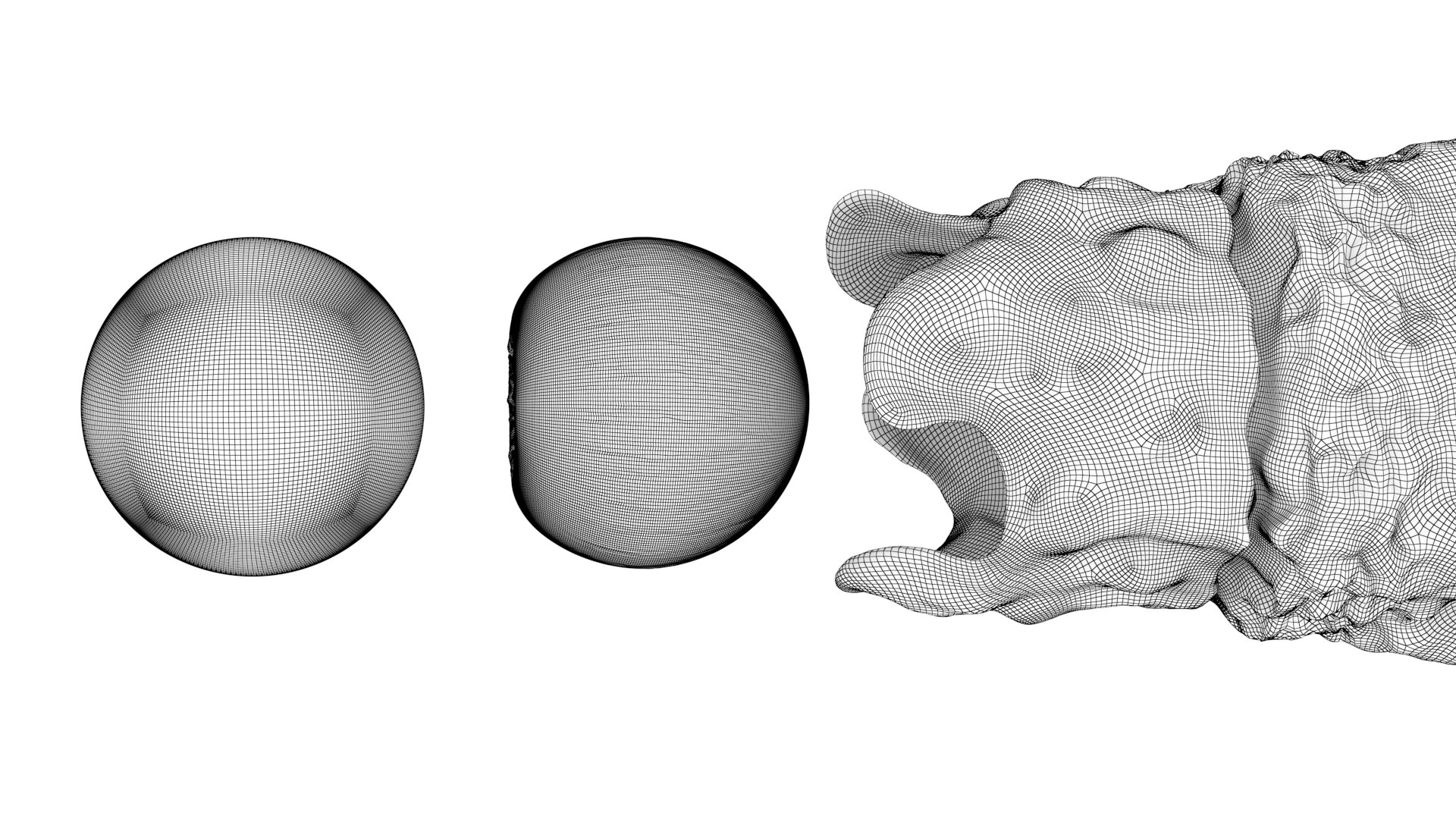 3D Sea Cephalopod - TurboSquid 1714000