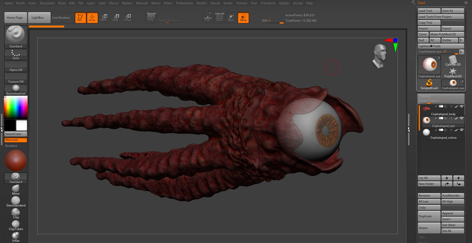 3D Sea Cephalopod - TurboSquid 1714000