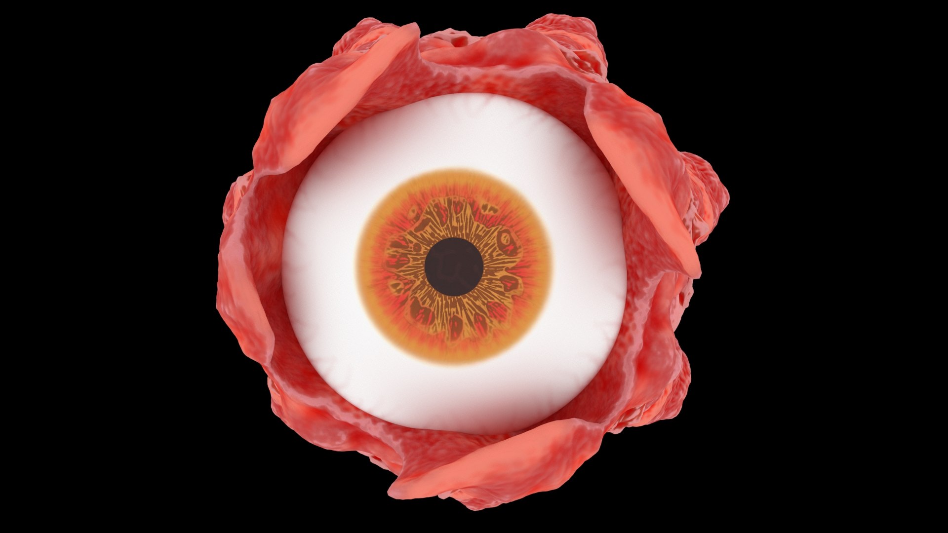 3D Sea Cephalopod - TurboSquid 1714000