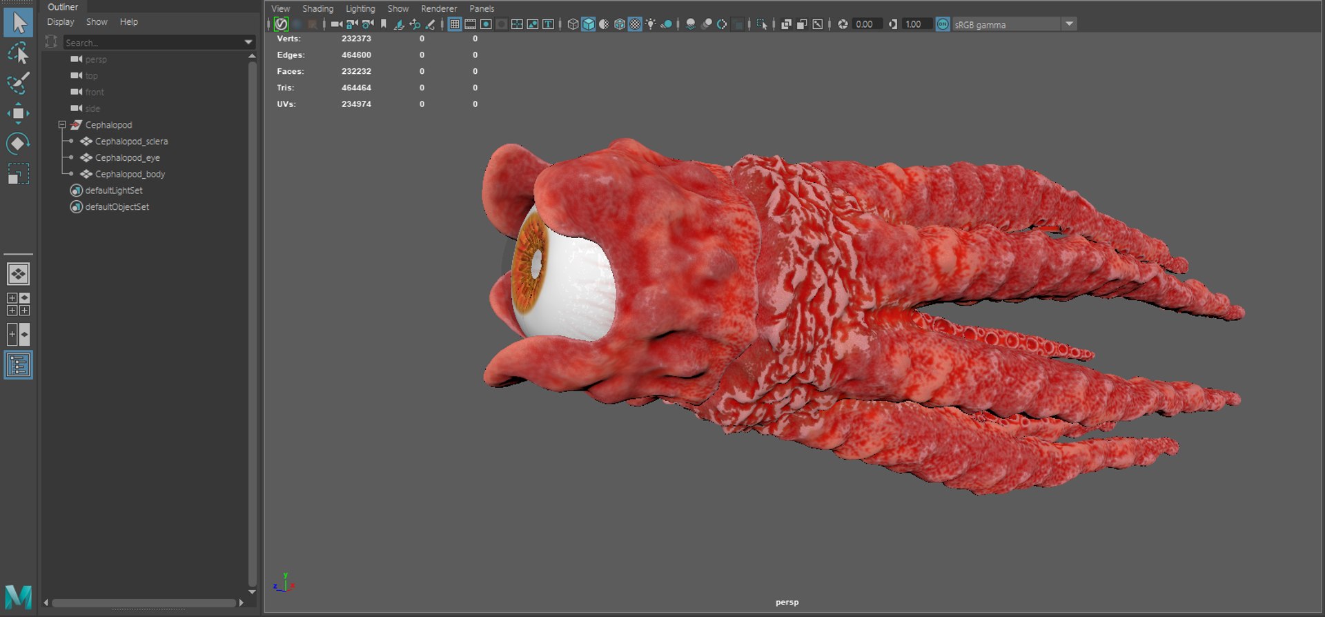 3D Sea Cephalopod - TurboSquid 1714000