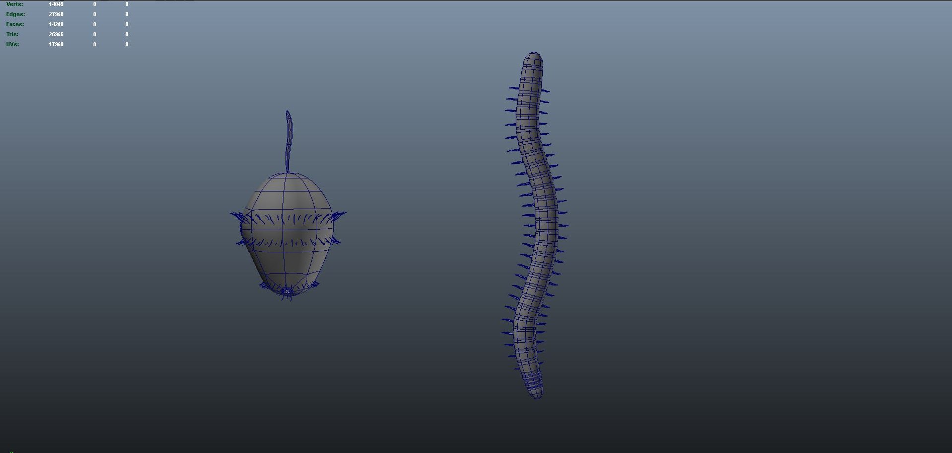 Obj Trochophore Larva