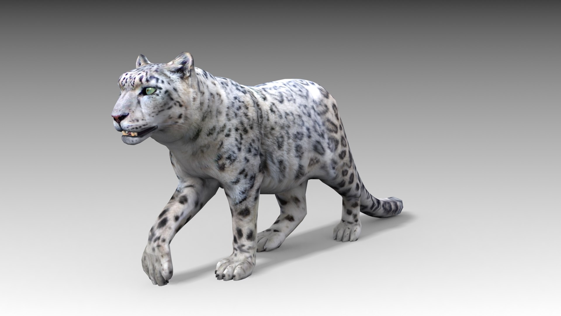 Snow Leopard 3D Model - TurboSquid 1395199