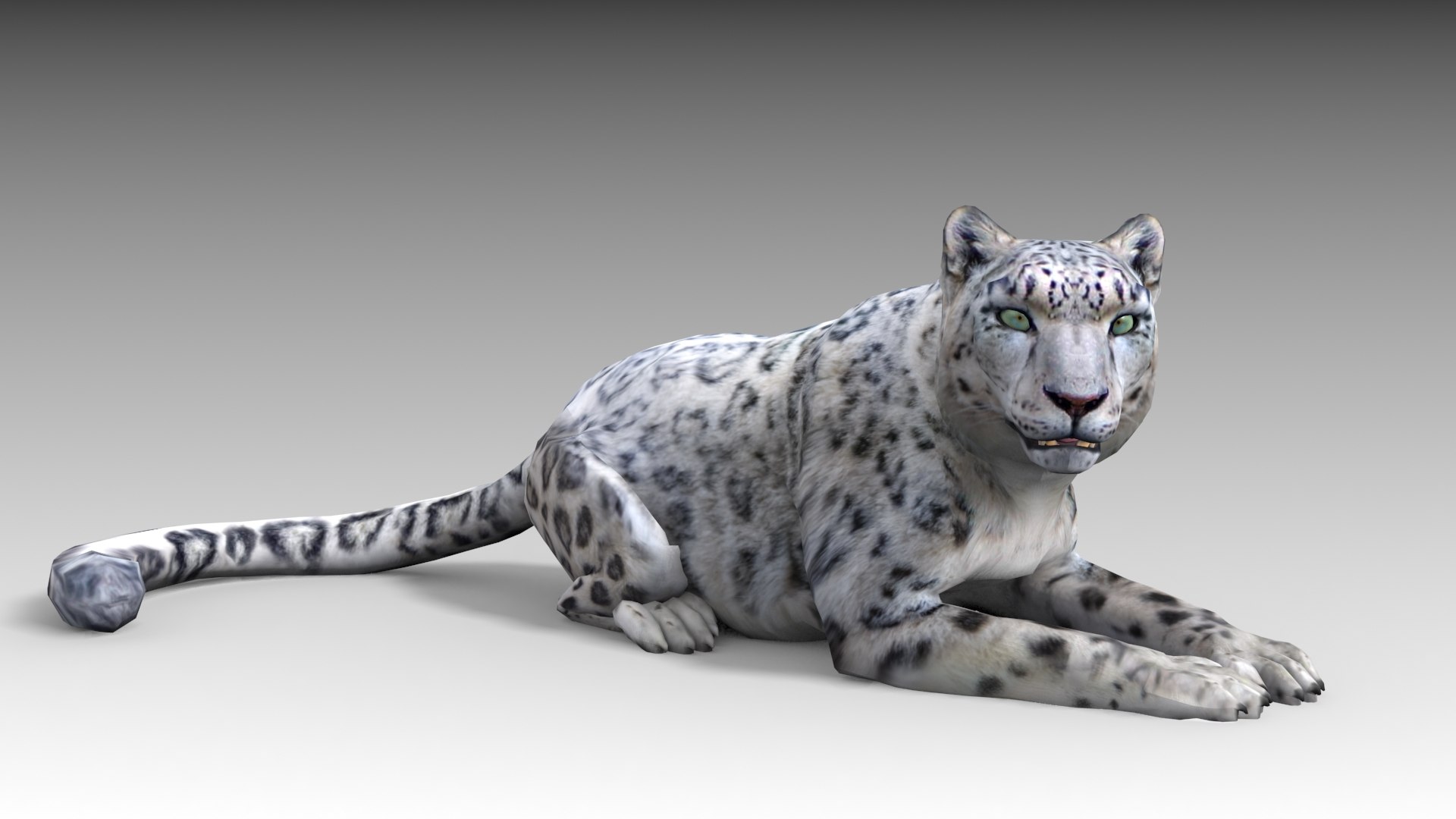 Snow Leopard 3D Model - TurboSquid 1395199