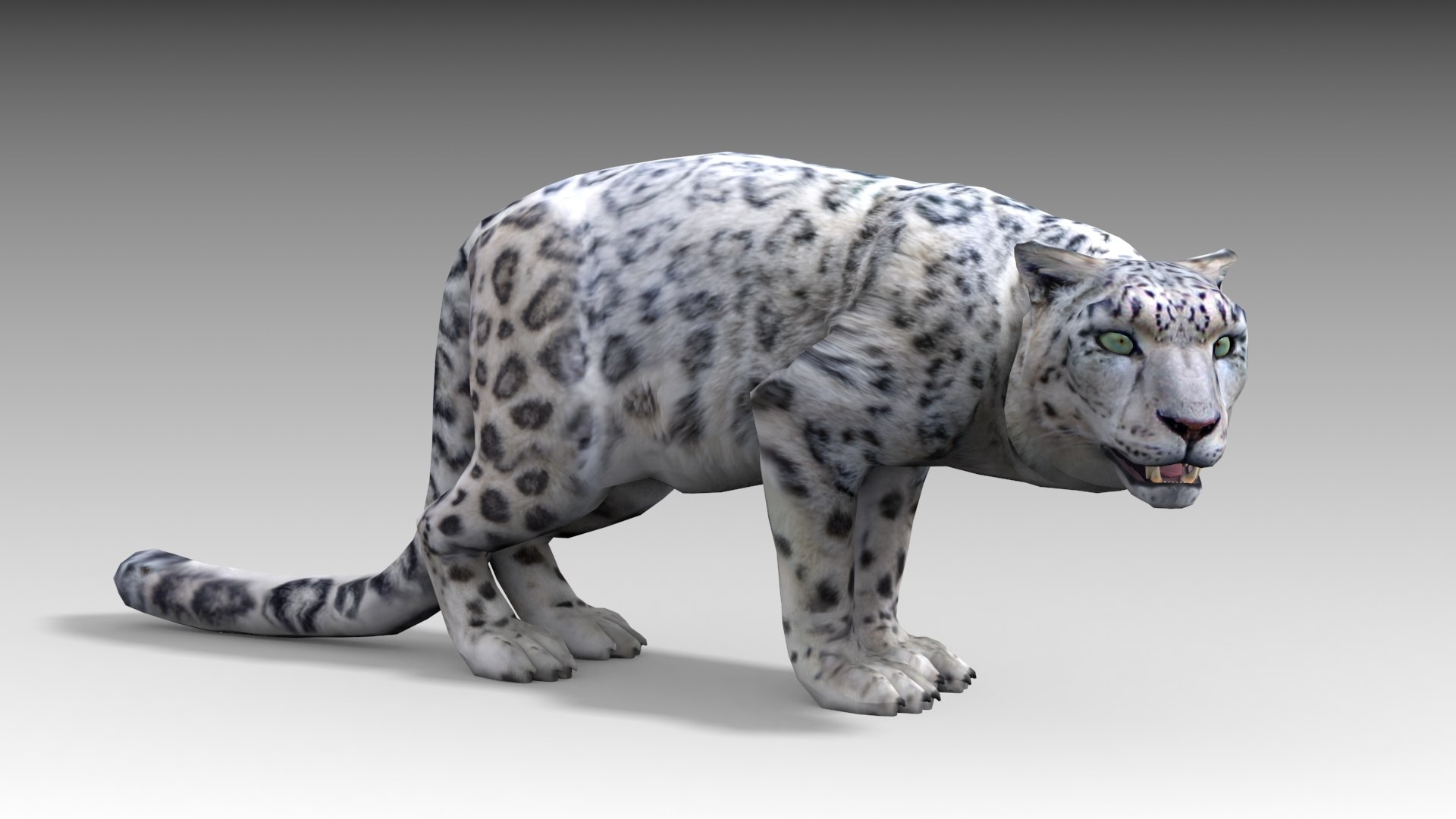 Snow Leopard 3D Model - TurboSquid 1395199