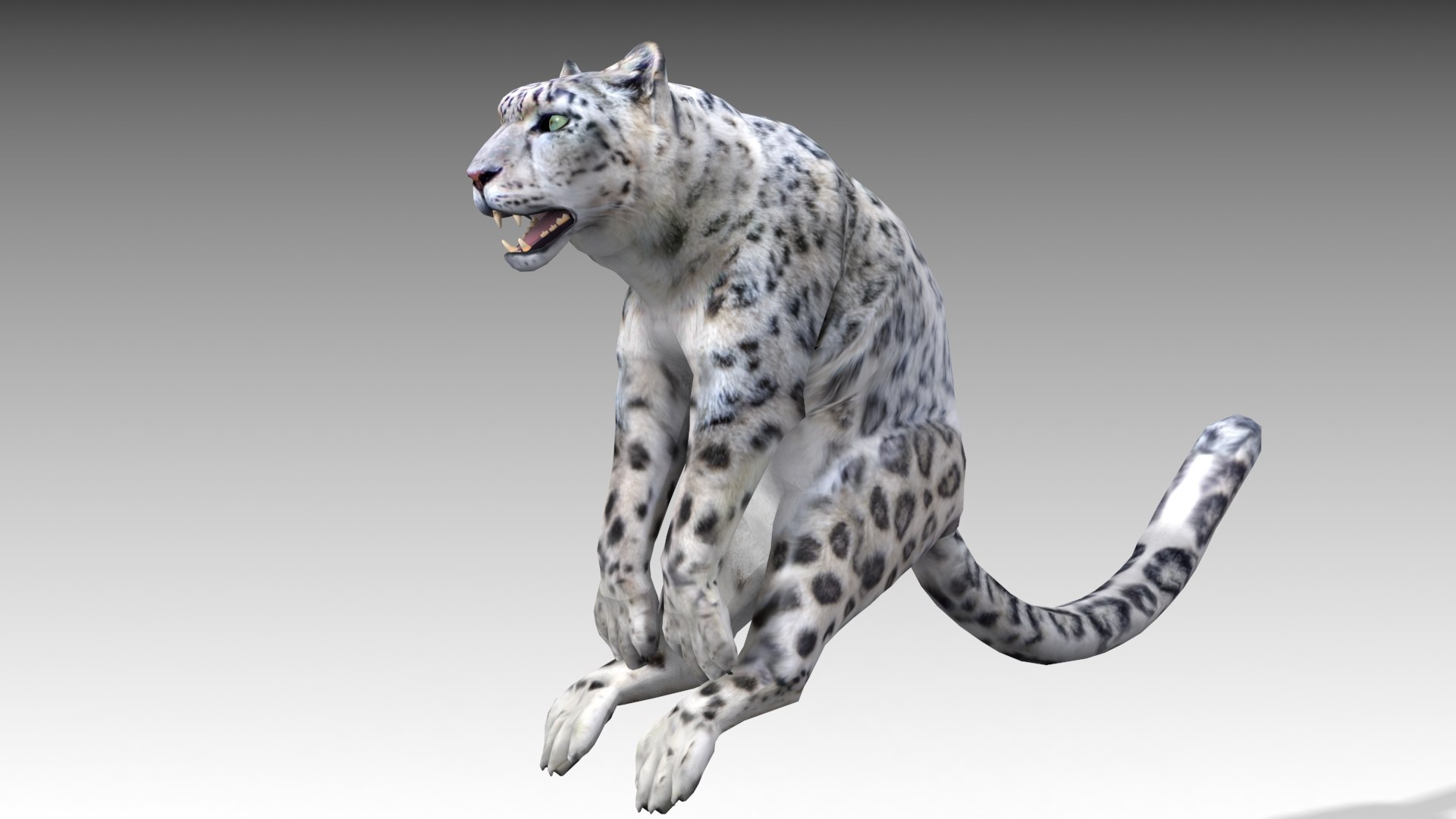 Snow Leopard 3D Model - TurboSquid 1395199