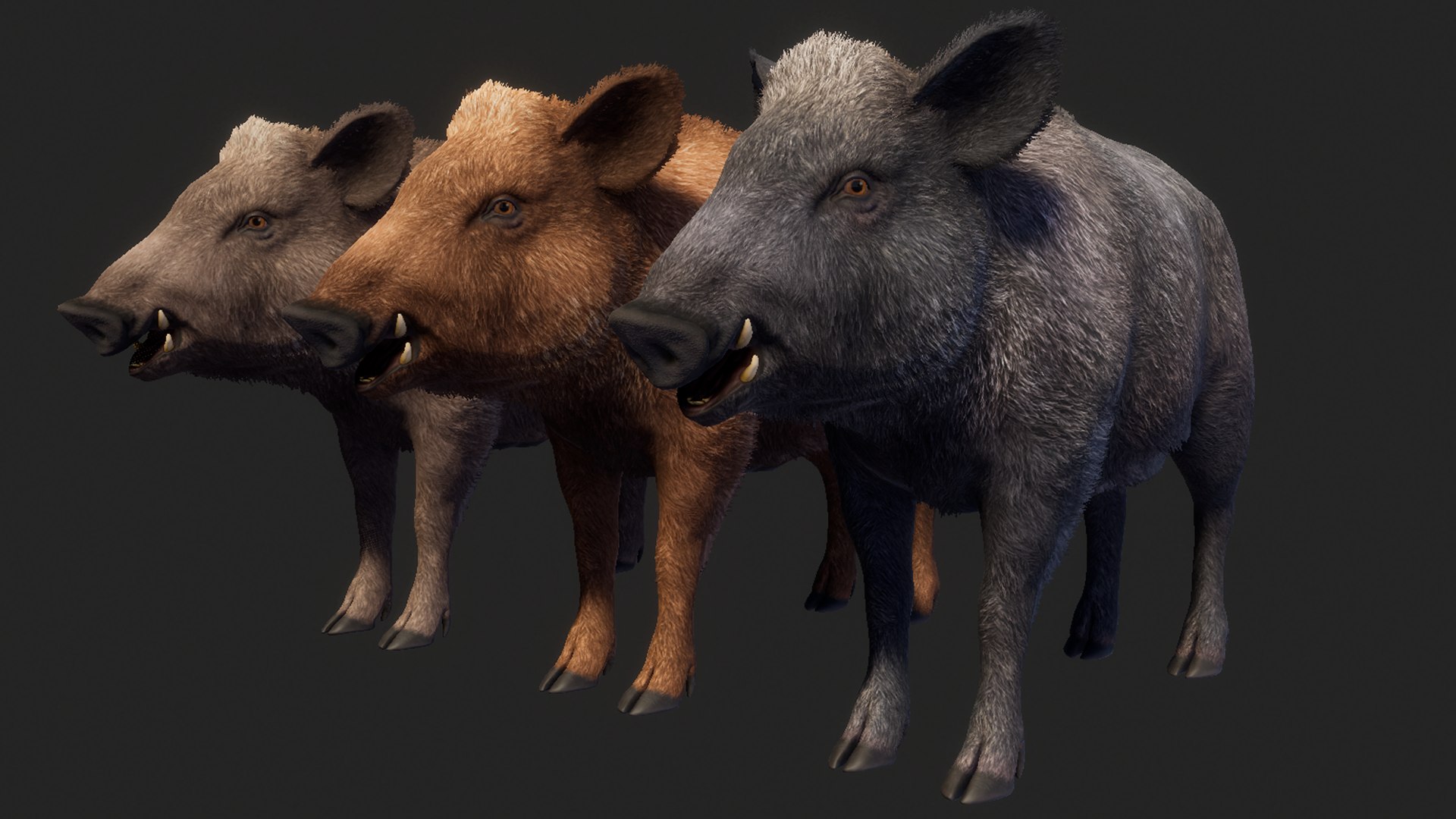3D Wild Boar - Female Model - TurboSquid 2099318