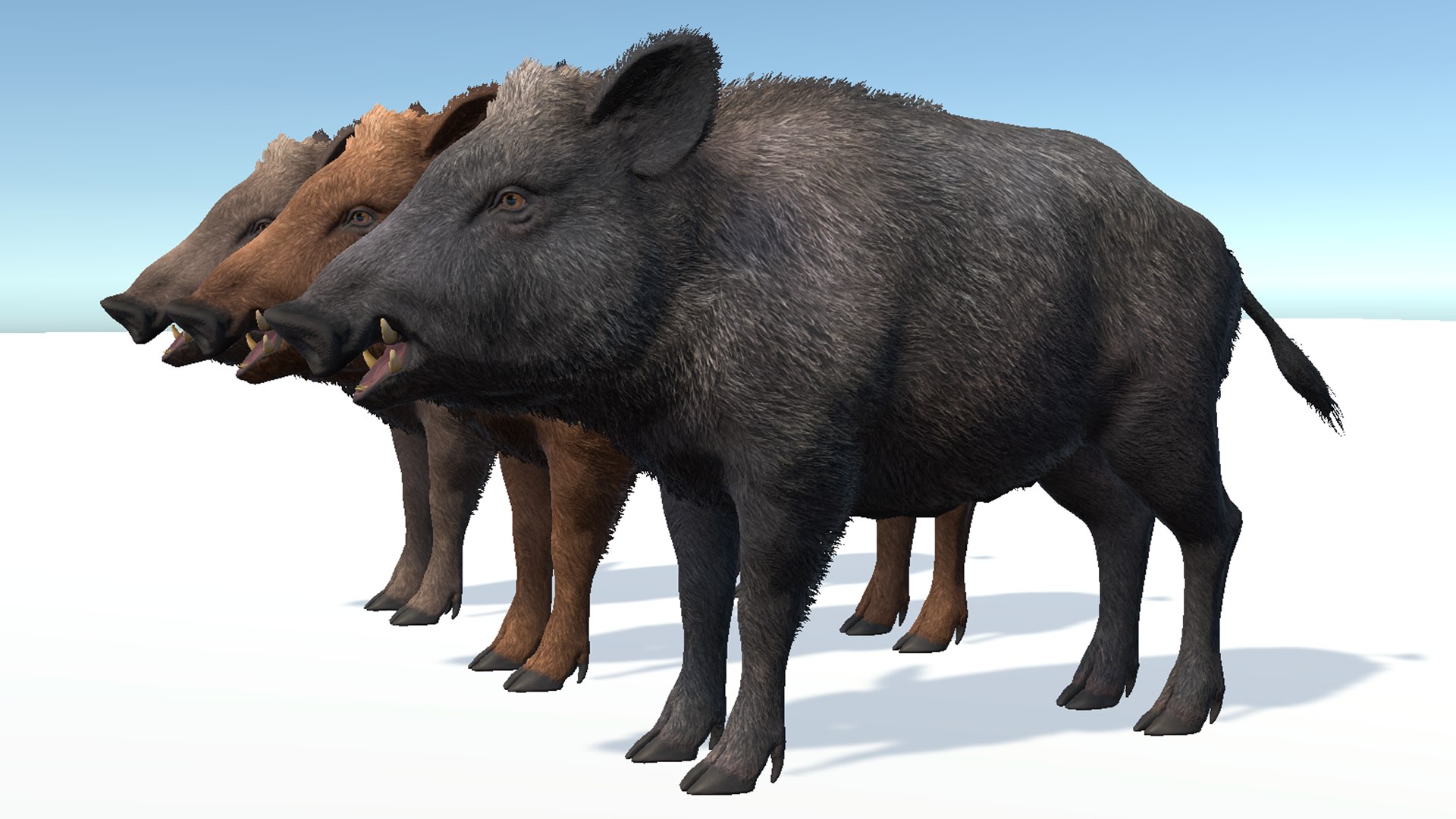 3D Wild Boar - Female Model - TurboSquid 2099318