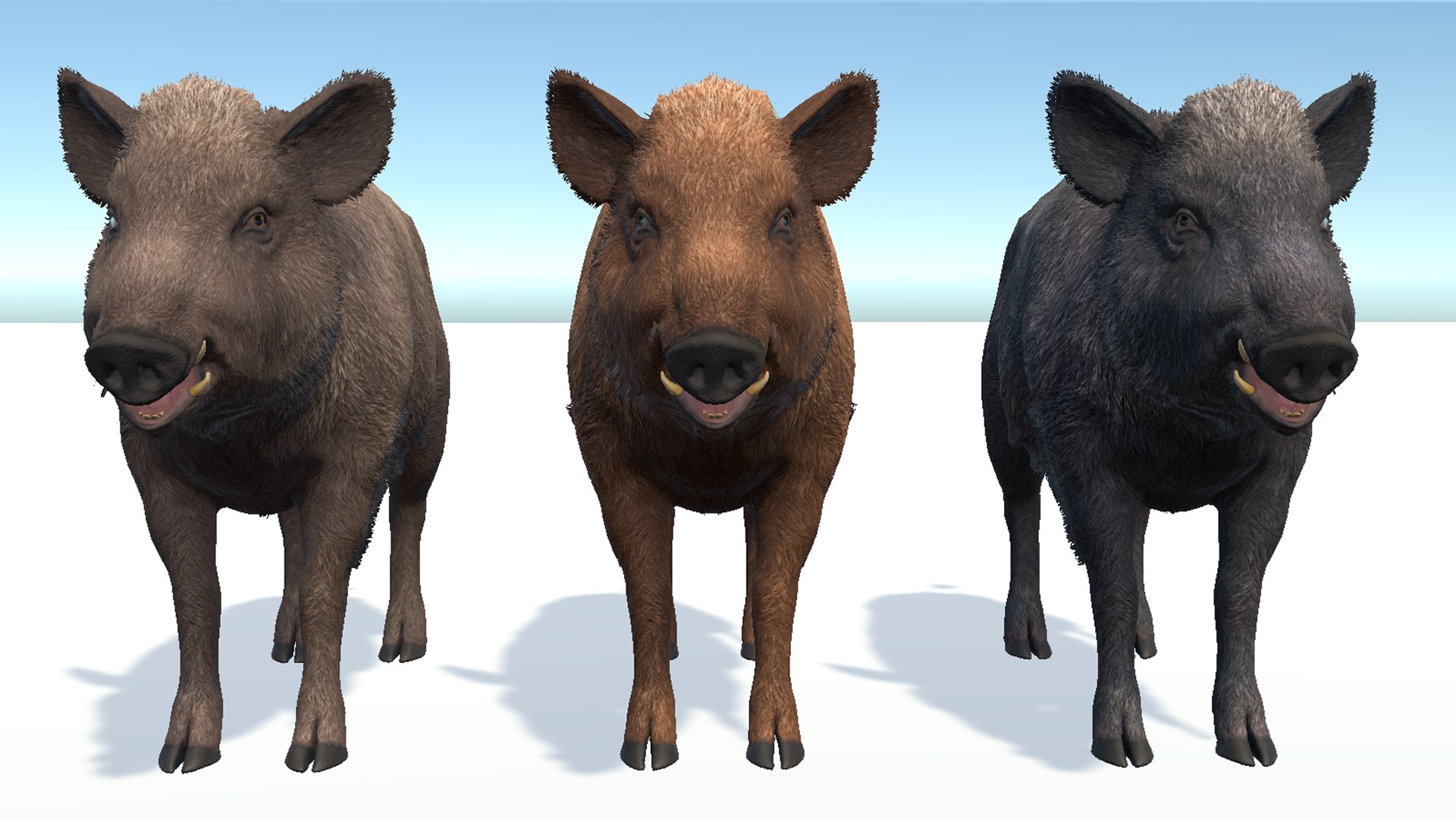 3D Wild Boar - Female Model - TurboSquid 2099318