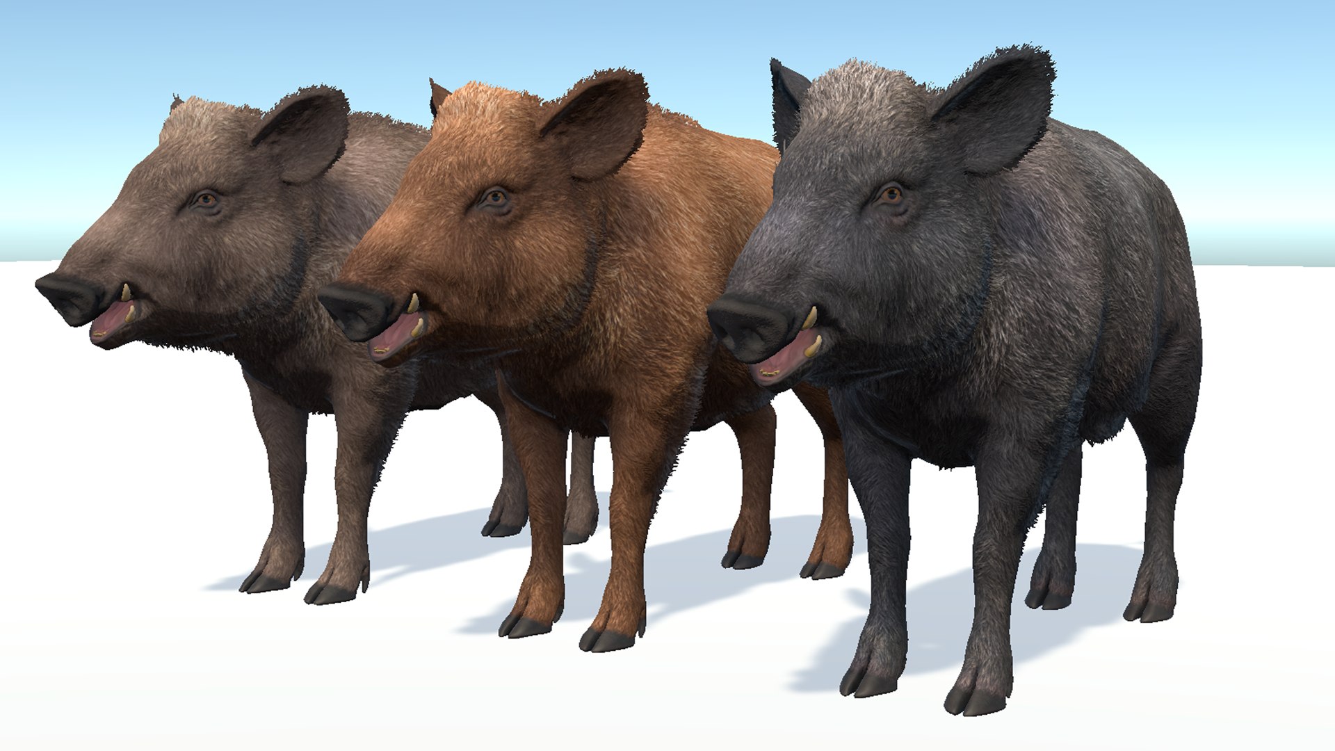 3D Wild Boar - Female Model - TurboSquid 2099318