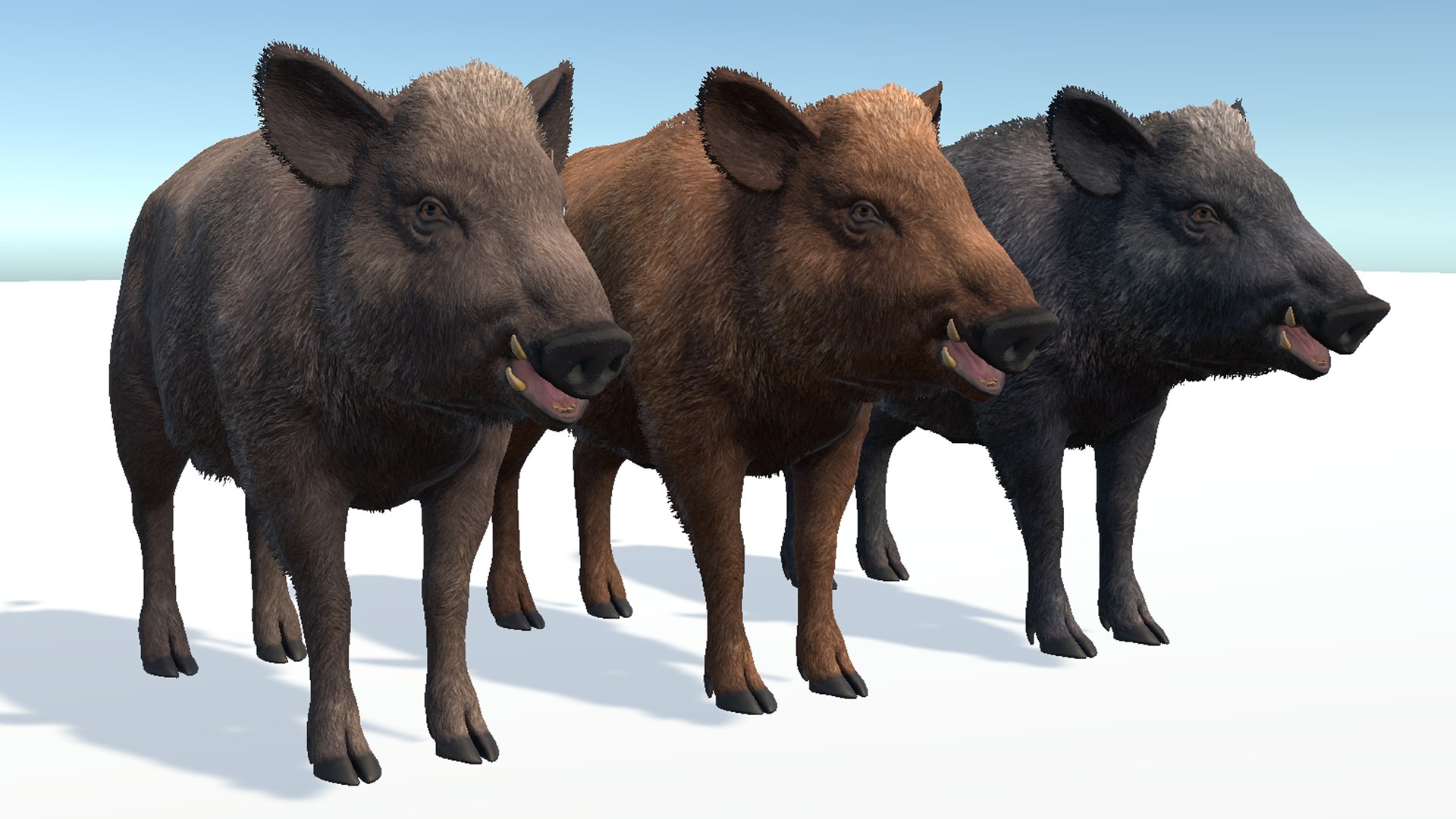 3D Wild Boar - Female Model - TurboSquid 2099318
