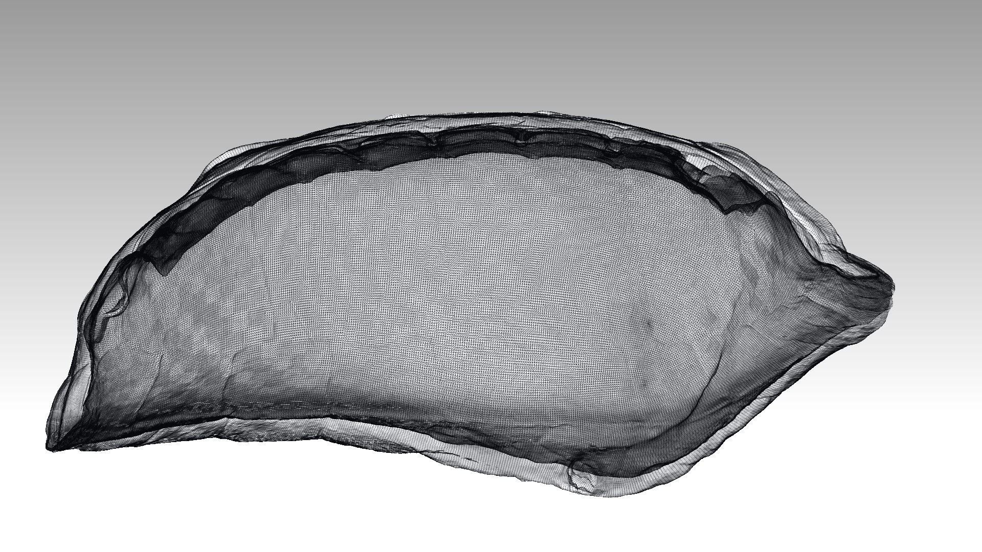 Box Turtle Shell 3D - TurboSquid 2144223