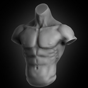 Torso 3D Models for Download | TurboSquid