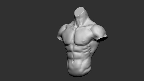 modelo 3d Torso humano musculoso 2 - TurboSquid 1694199