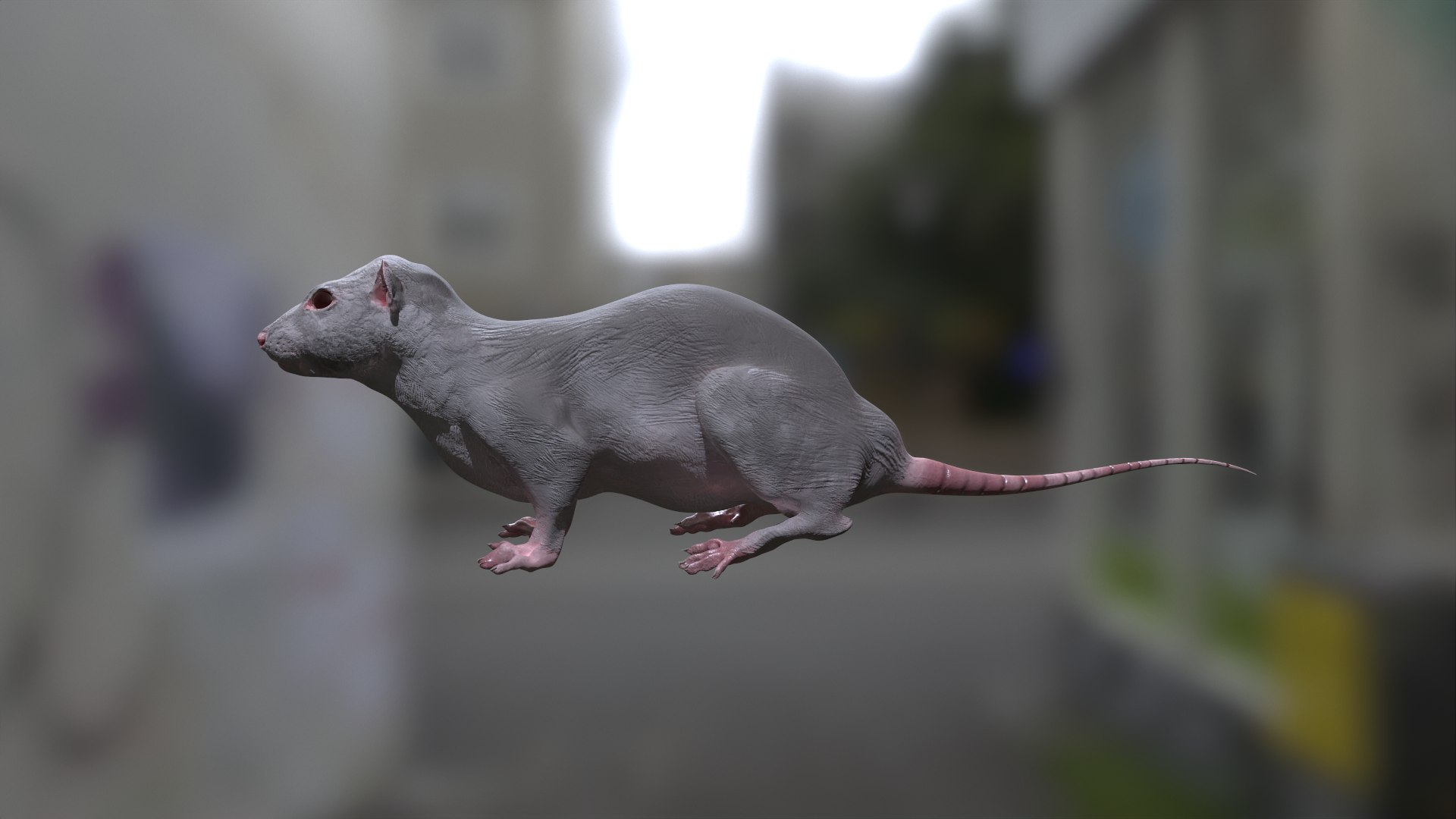 3D Model RAT - TurboSquid 1847326