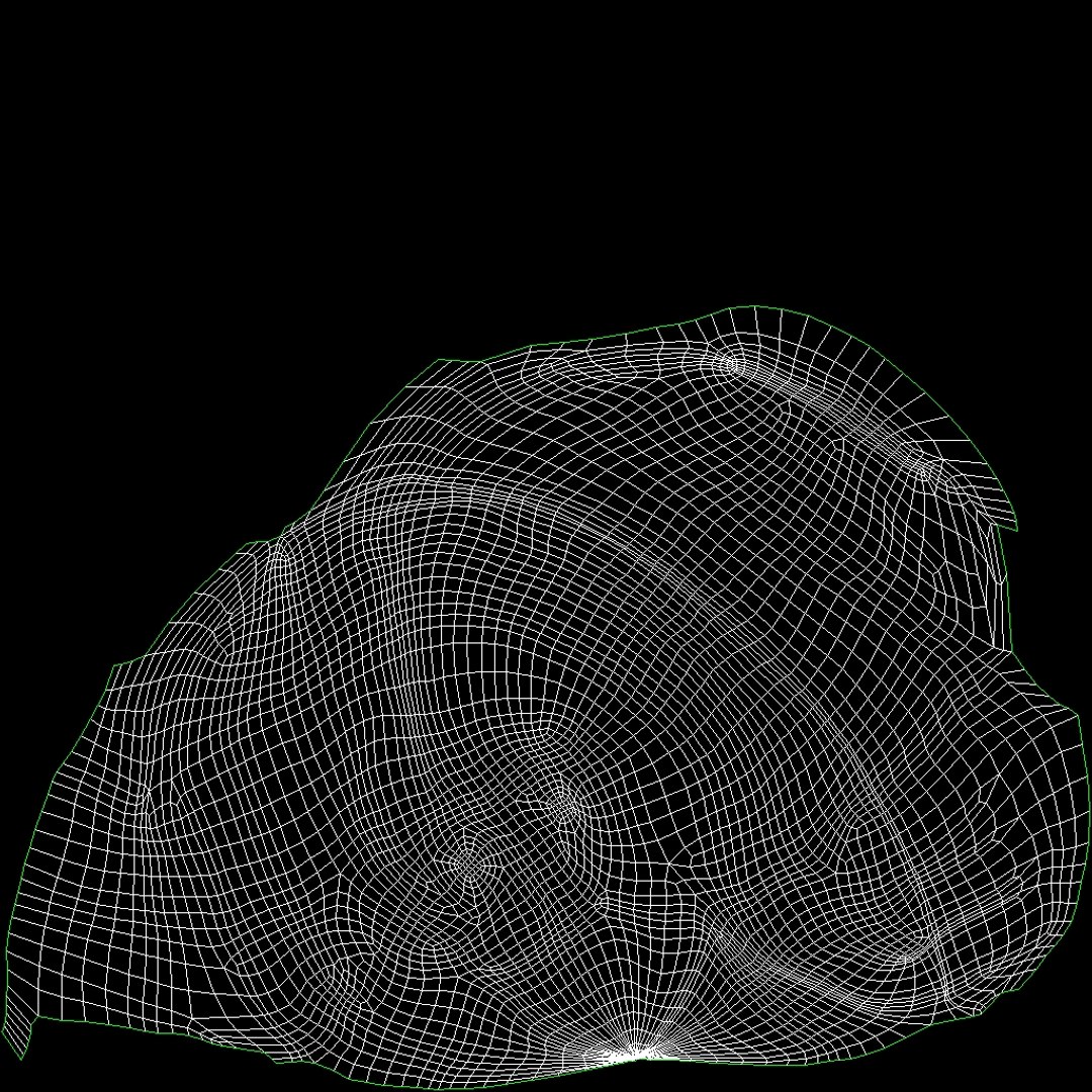 3D Sea Shell 0708 - TurboSquid 1976241