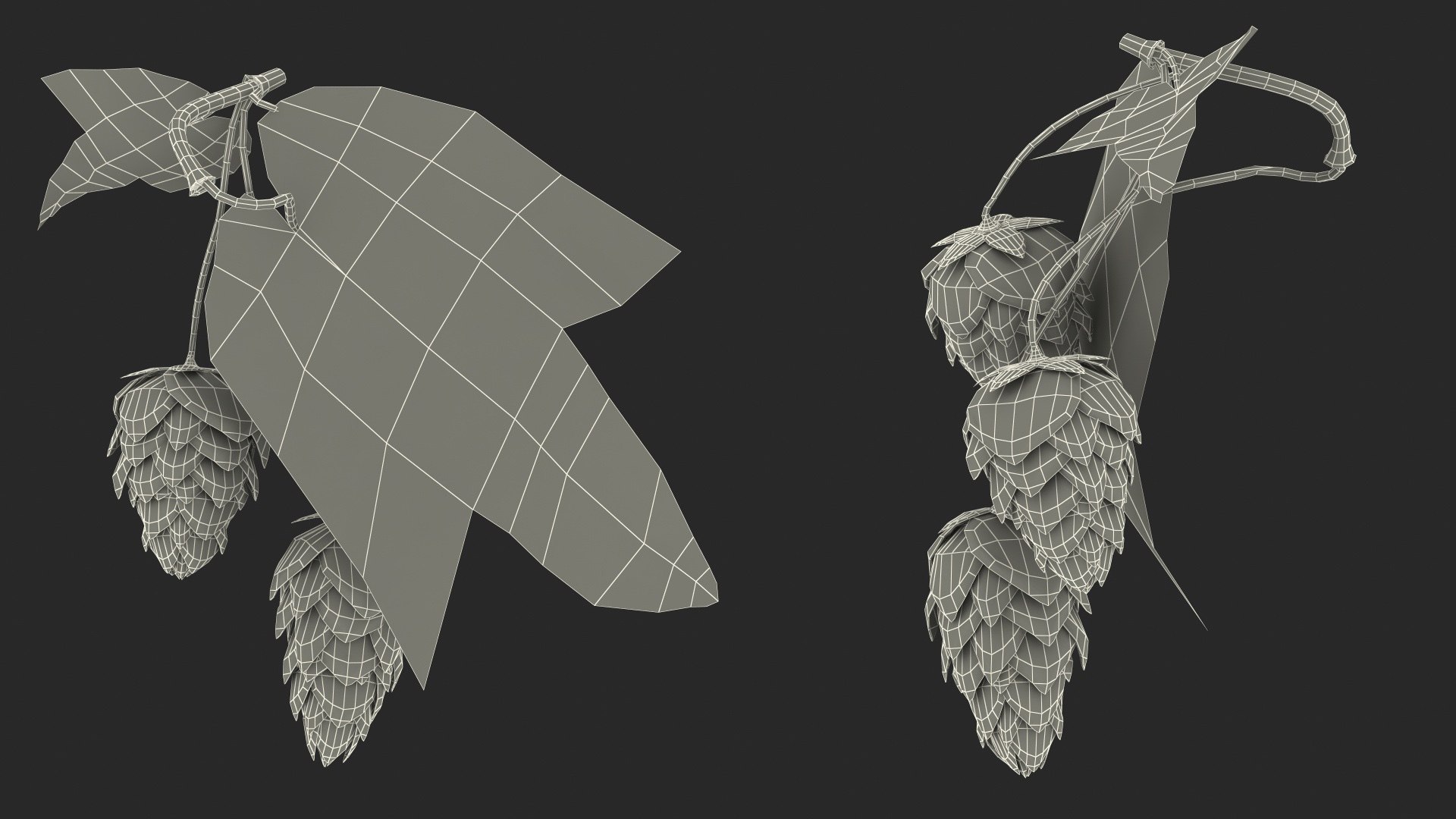Fresh branch hops 3D model - TurboSquid 1441051