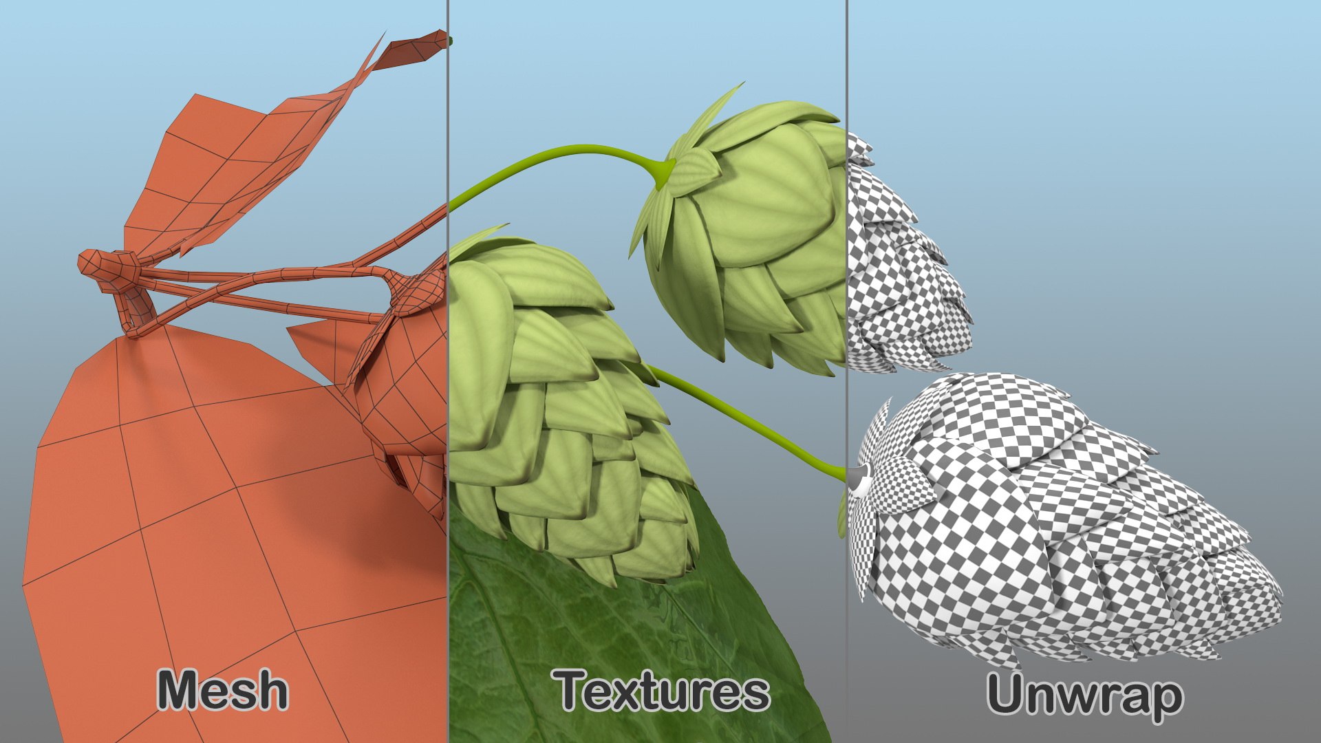 Fresh Branch Hops 3D Model - TurboSquid 1441051