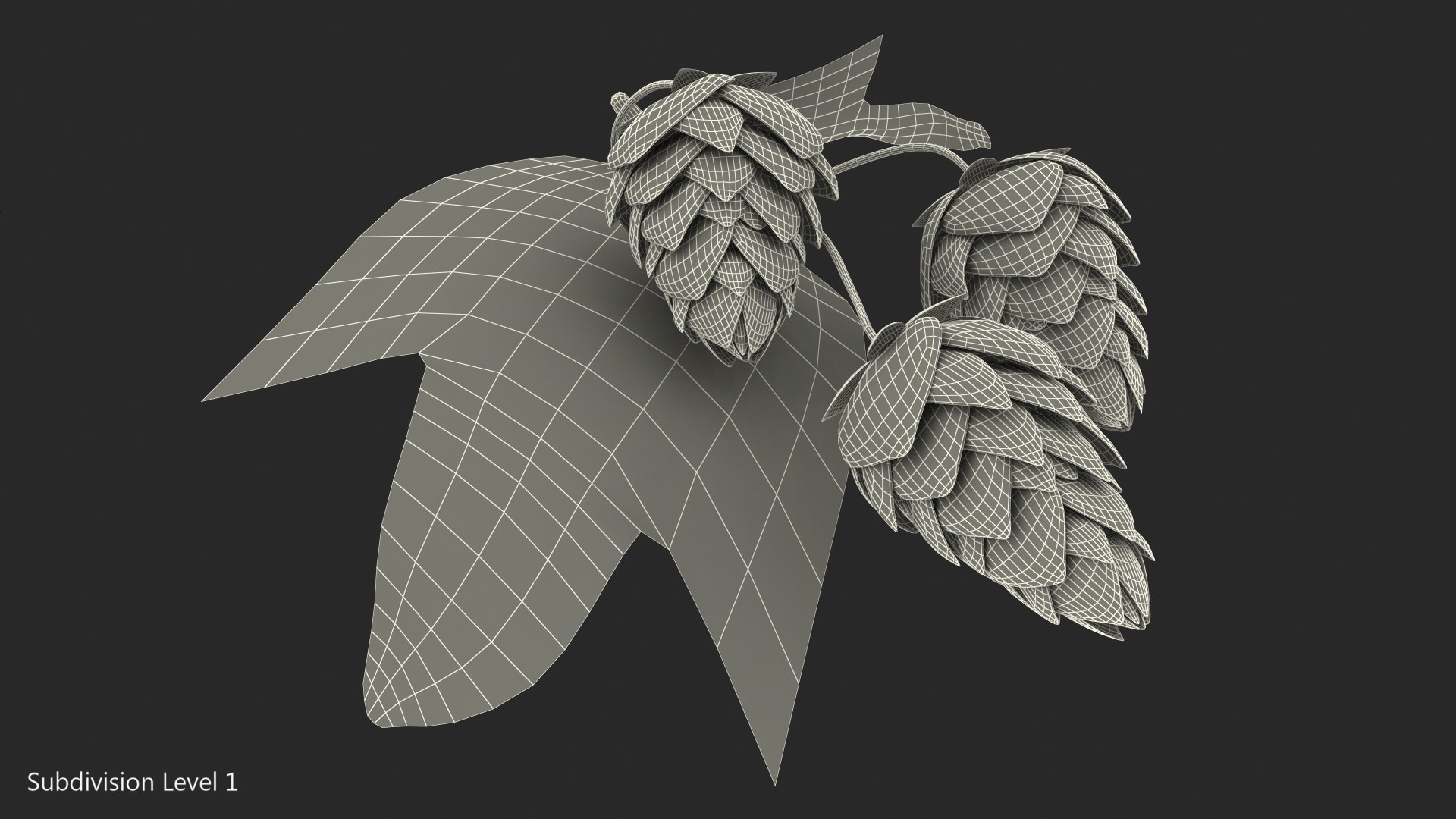 Fresh Branch Hops 3D Model - TurboSquid 1441051