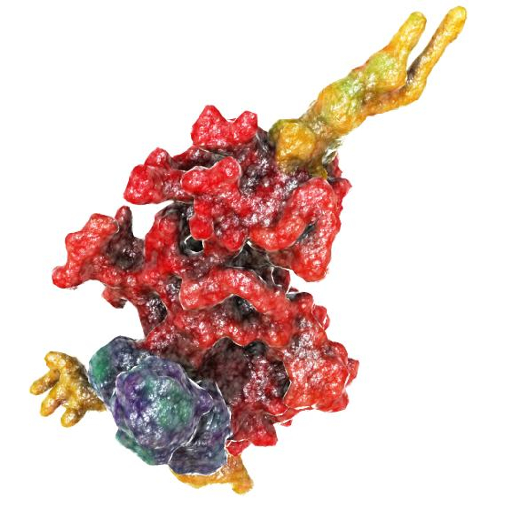 3d Model Prion - Mad Cow