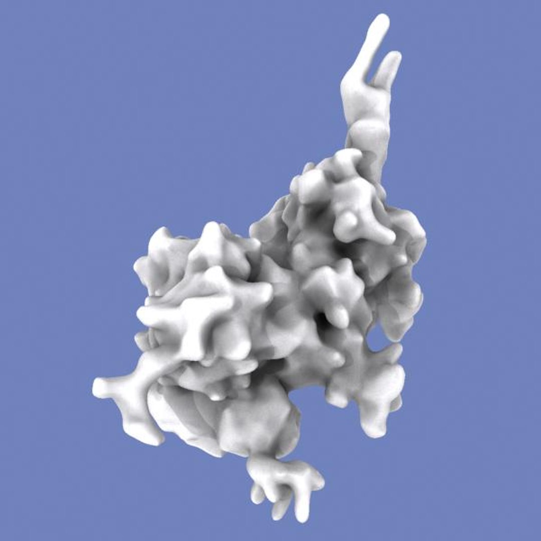 3d Model Prion - Mad Cow