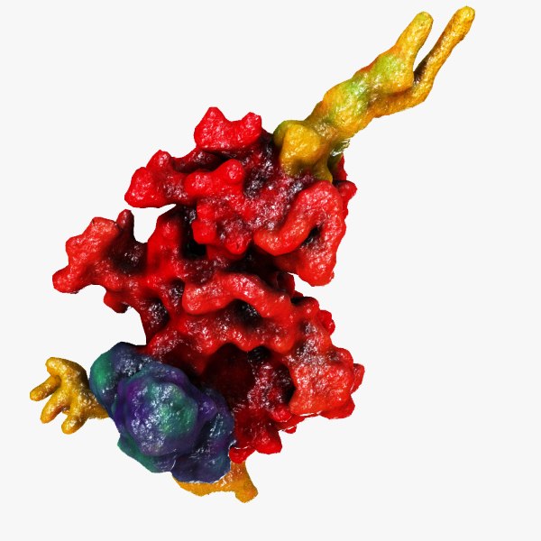 rabies virus 3d model