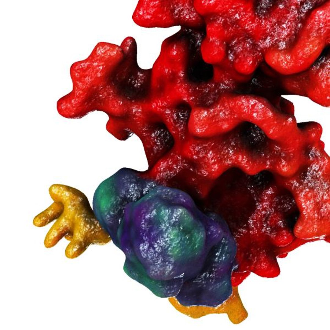 3d Model Prion - Mad Cow