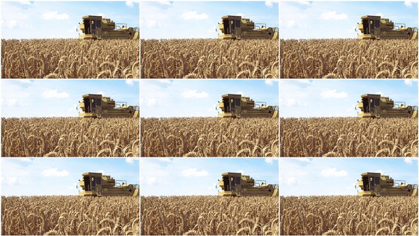3D Pastoral autumn harvest tractor wheat field wheat field farmland ...