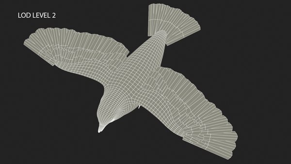 Sparrow model - TurboSquid 1718139