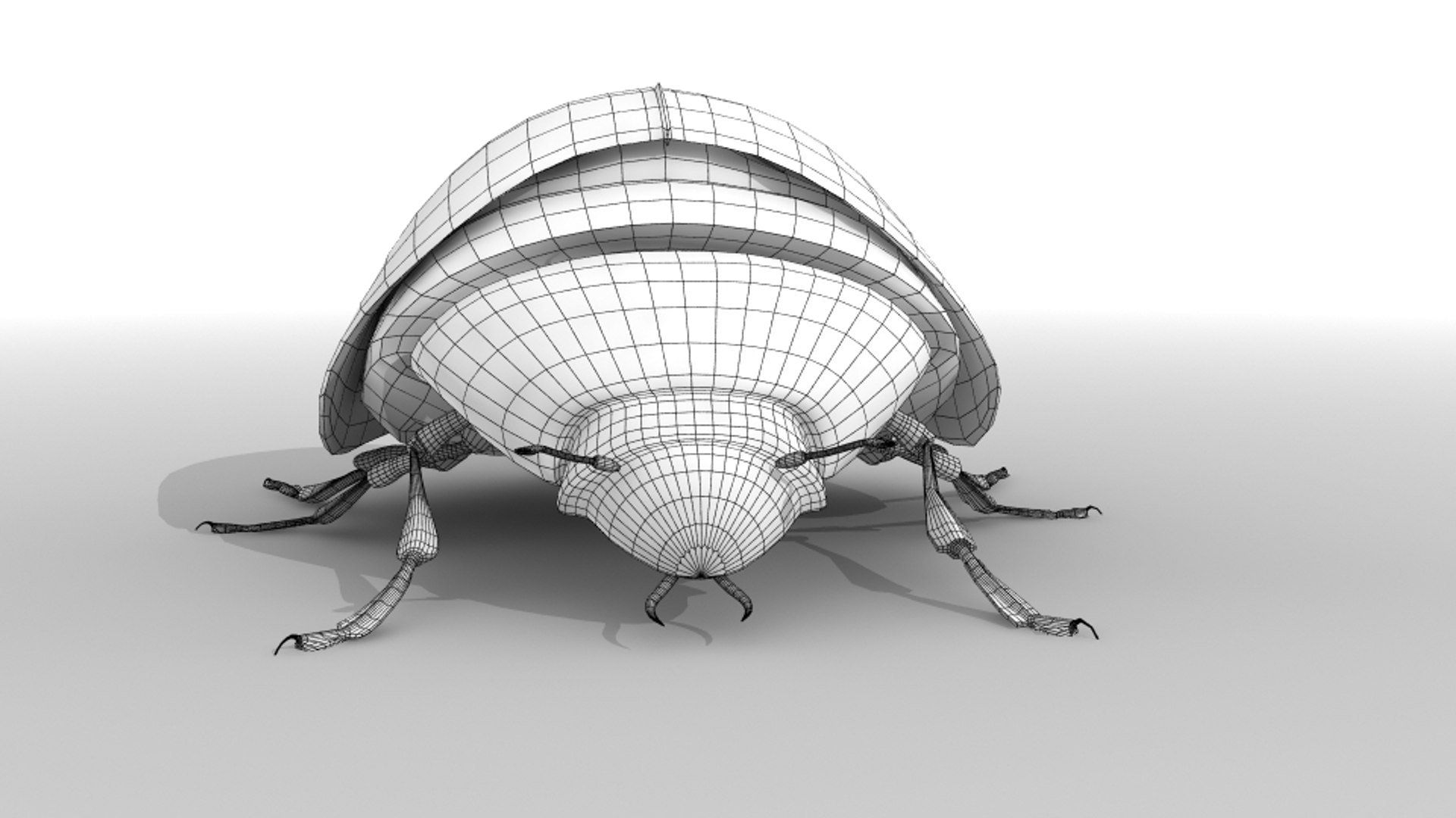 Ladybug Lady Bug 3d Model