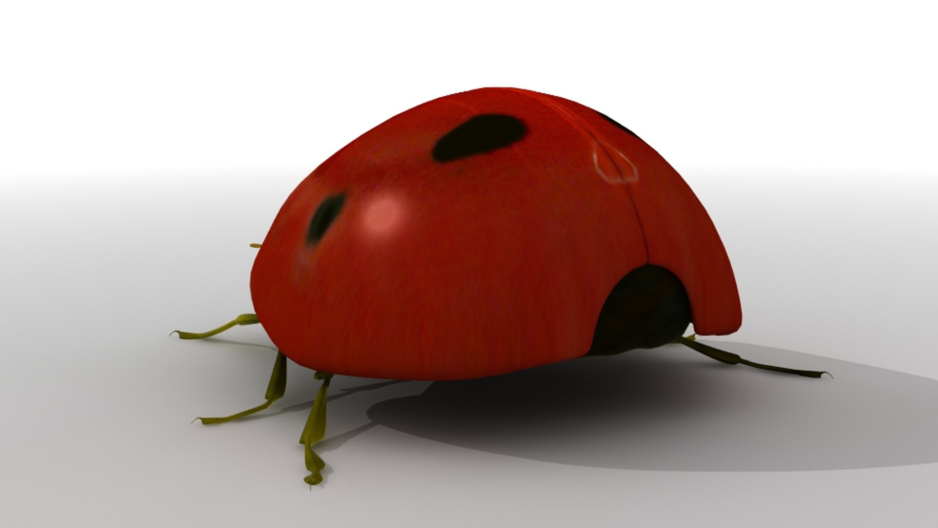 Ladybug Lady Bug 3d Model