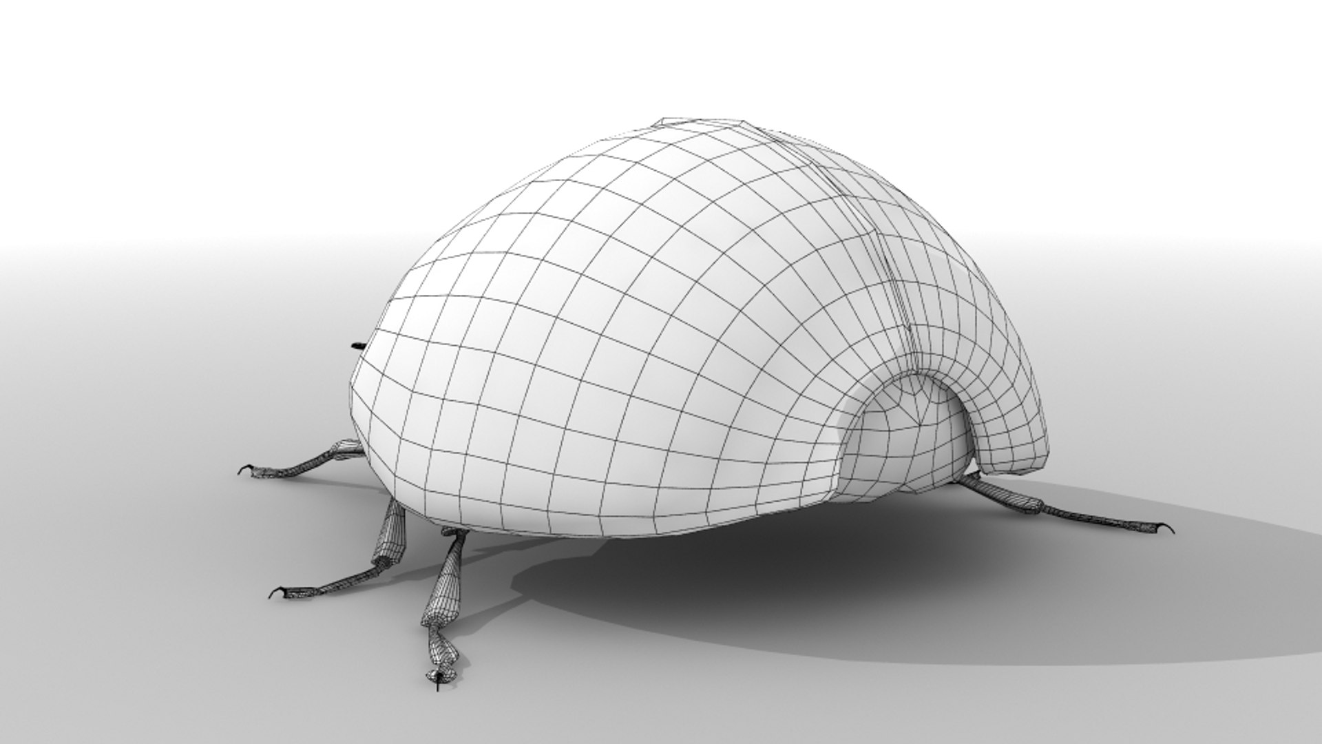 Ladybug Lady Bug 3d Model