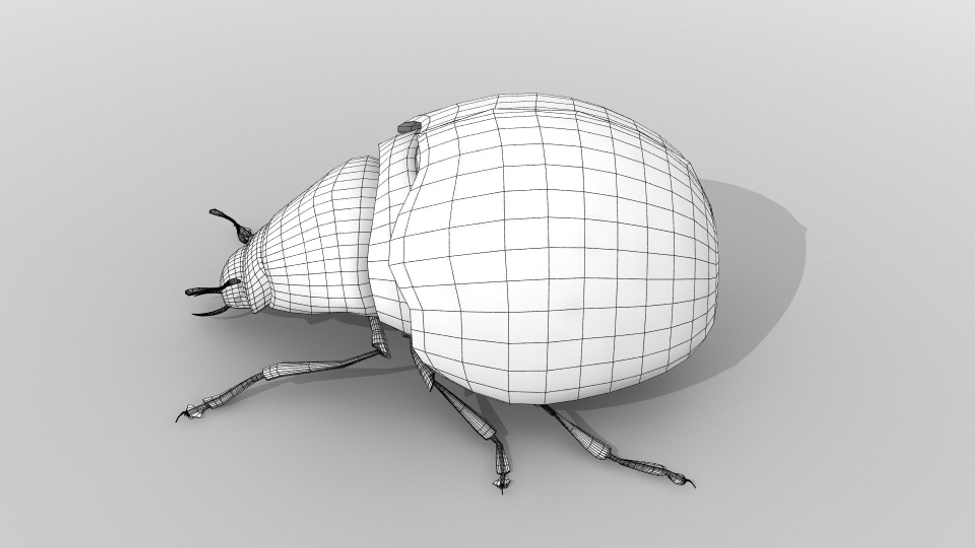 Ladybug Lady Bug 3d Model