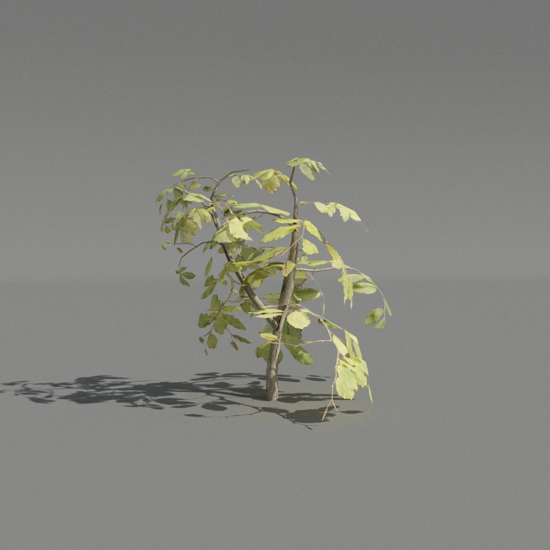 3D Hedge Plants Model | 1143392 | TurboSquid