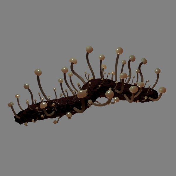 Claviceps Purpurea - Ergot - LSD 3D 모델 - TurboSquid 1151738