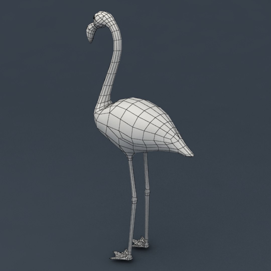 3d Flamingo Rigged Model