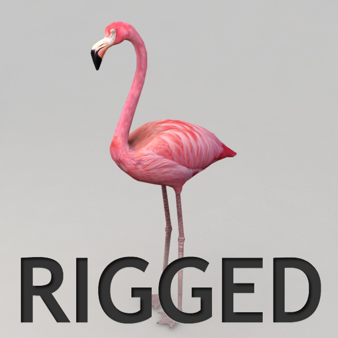 3d Flamingo Rigged Model